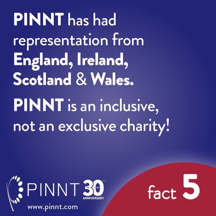 News | PINNT